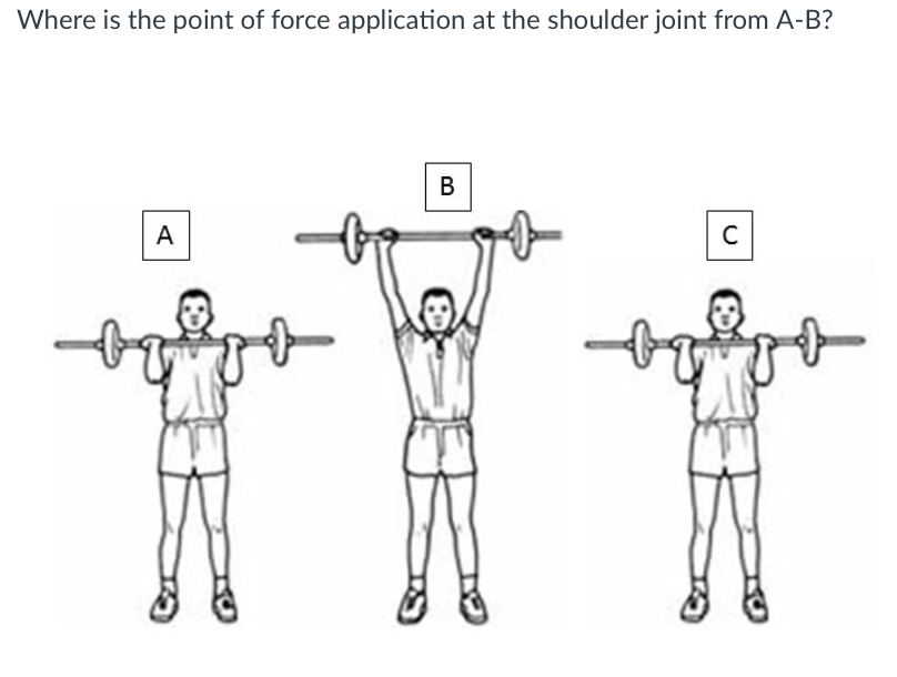Solved Where is the point of force application at the | Chegg.com