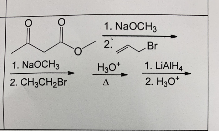 Solved 1. NaOCH3 1. NaOCHa 2. CH3CH2Br H30+ 1. LiAIH4 2. H30 | Chegg.com