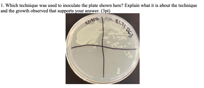 Solved 1. Which technique was used to inoculate the plate | Chegg.com