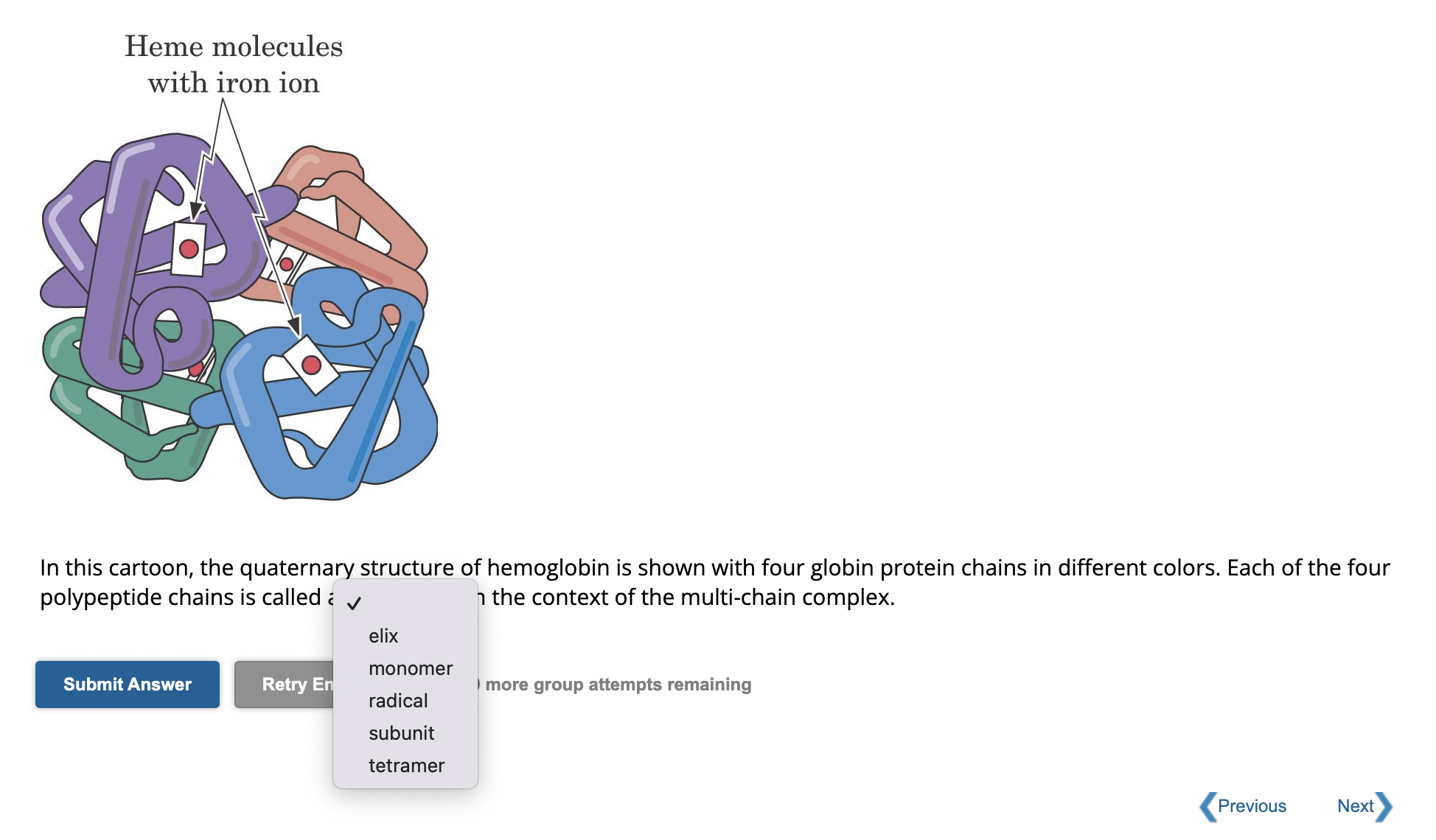 Solved Heme molecules In this cartoon, the quaternary | Chegg.com