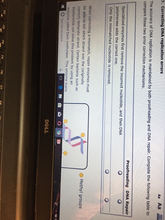 Solved 7. Correcting DNA replication errors Aa Aa The | Chegg.com
