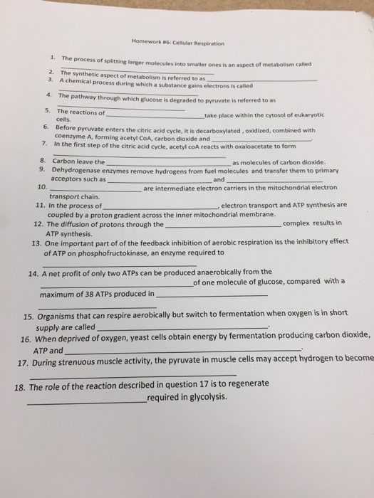 Solved the process of splitting larger molecule into smaller | Chegg.com