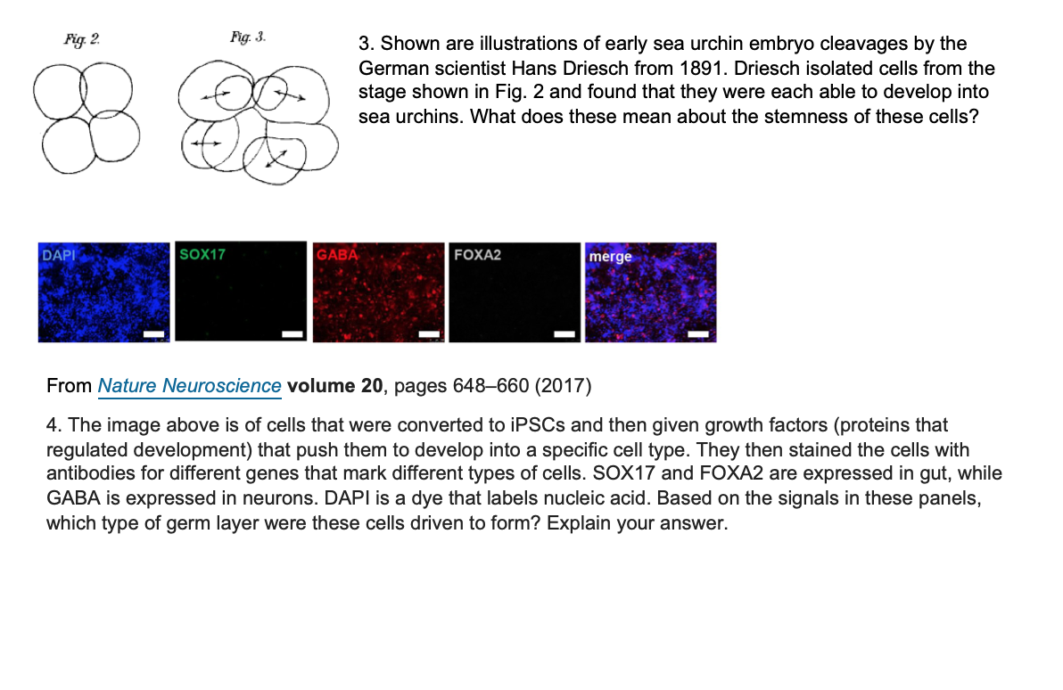 Solved Fig. 2 Fig. 3. 8 3. Shown are illustrations of early | Chegg.com