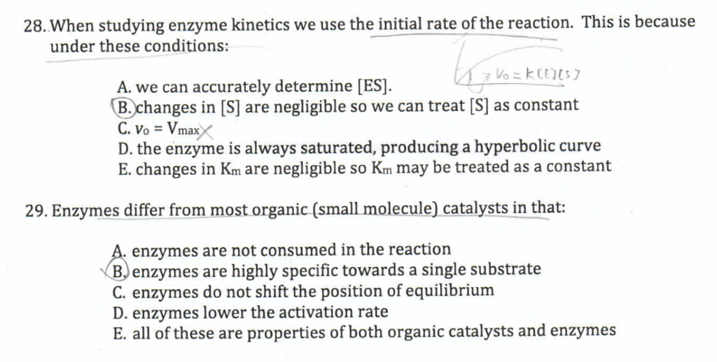 Solved 28.When studying enzyme kinetics we use the initial | Chegg.com