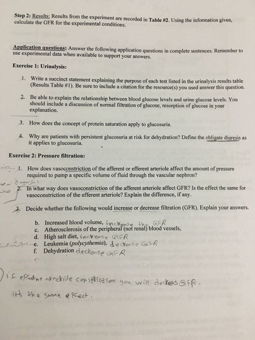 Solved al Lab to perform a basic urinalysis and learn the | Chegg.com