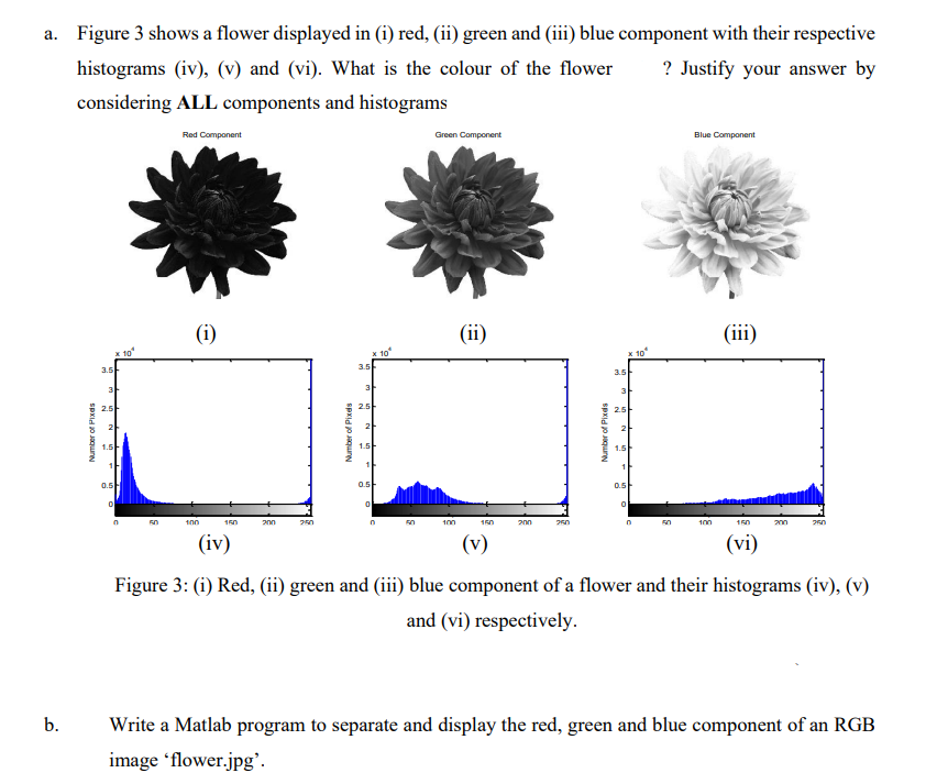[Solved]: a. Figure 3 shows a flower displayed in (i) red,
