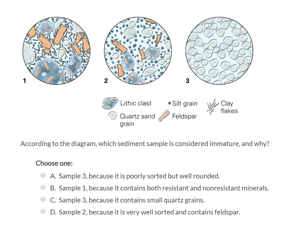 Solved Which of the following can form sedimentary rocks? | Chegg.com