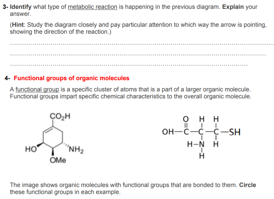 Solved 2- Creating and breaking apart organic compounds | Chegg.com