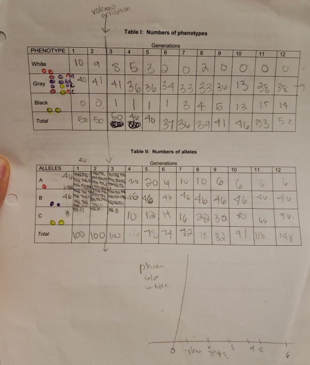Solved volcano eruption Table l: Numbers of phenotypes 8 9 | Chegg.com