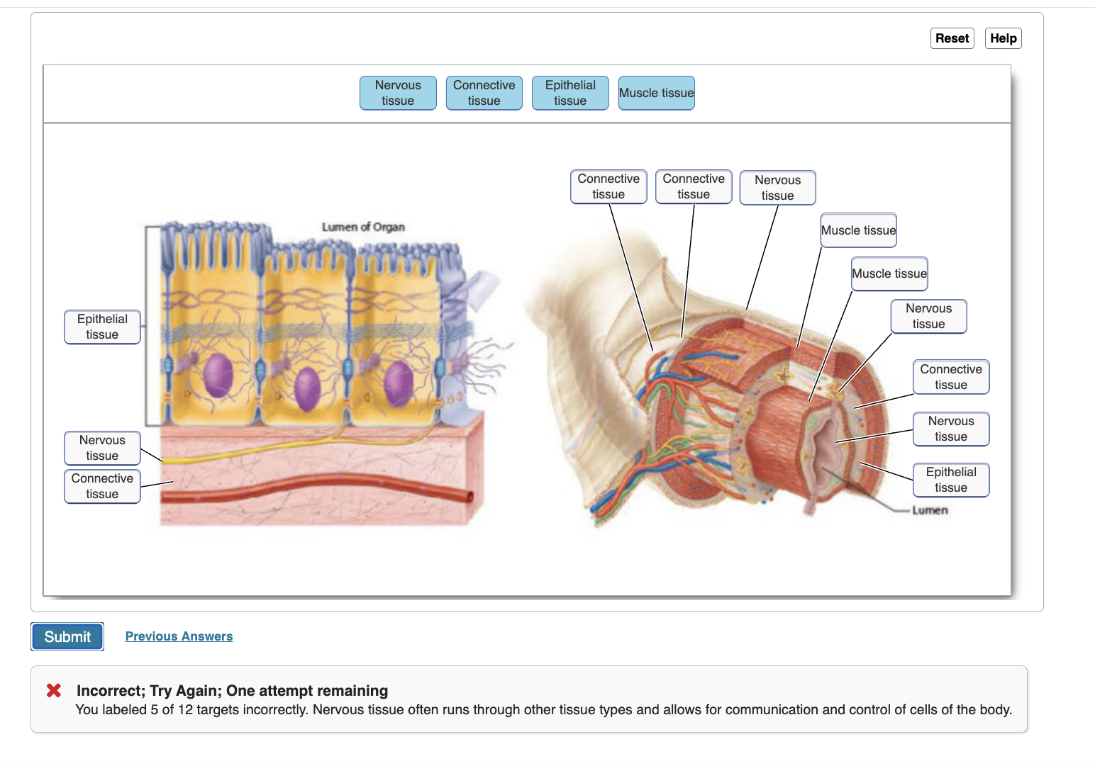 Solved I need help! I'm not sure which are the 5 | Chegg.com