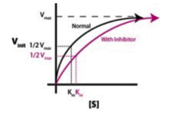 Solved Normal With Inhibitor unit 1/2V 1/2v [S] You are | Chegg.com