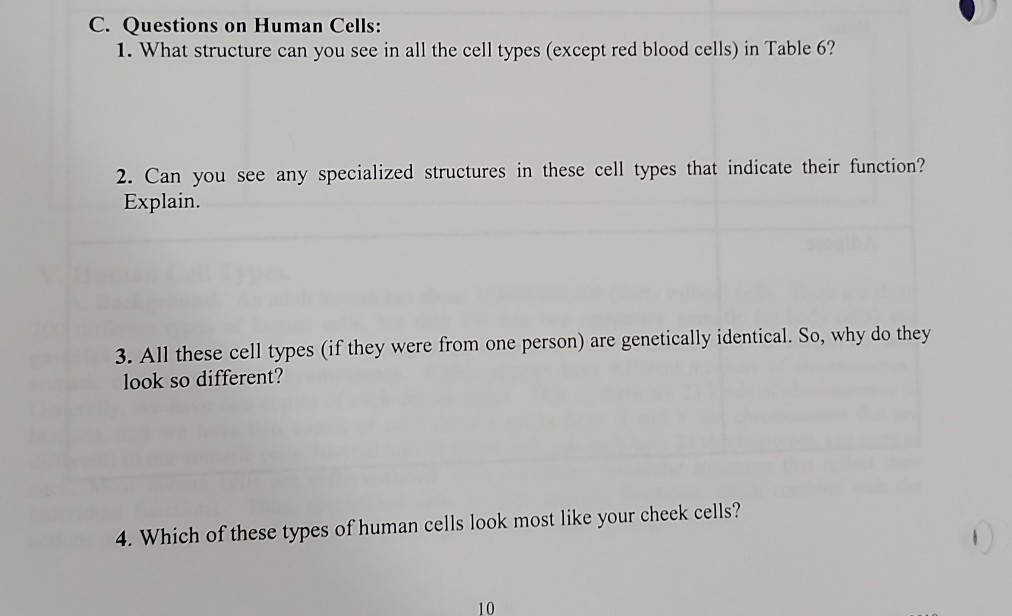 C. Questions on Human Cells: 1. What structure can | Chegg.com