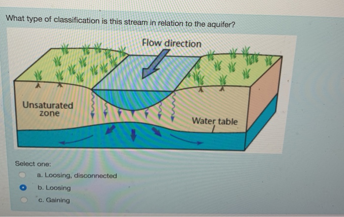 Solved What type of classification is this stream in | Chegg.com