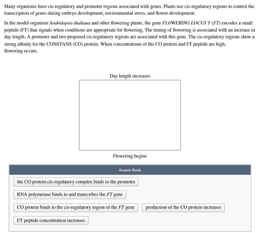 Solved Many Organisms Have Cis Regulatory And Promoter