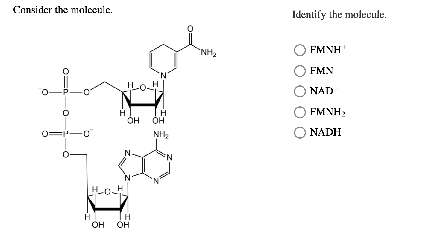Solved Consider the molecule. Identify the molecule. NH2 | Chegg.com
