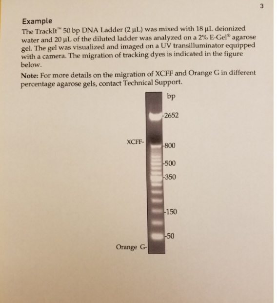 Solved 3 Example The TrackIt™ 50 bp DNA Ladder (2 L) was | Chegg.com
