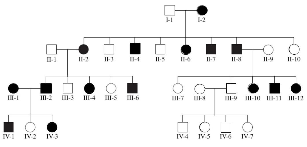 Solved Part 1. For this pedigree, evaluate various possible | Chegg.com