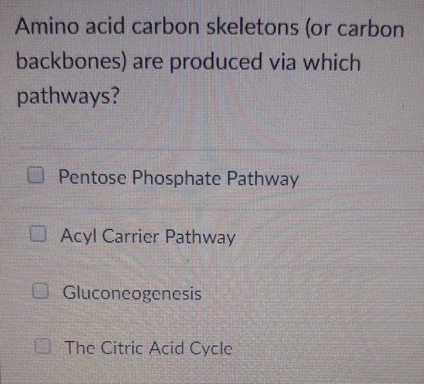Solved Amino acid carbon skeletons (or carbon backbones) are | Chegg.com