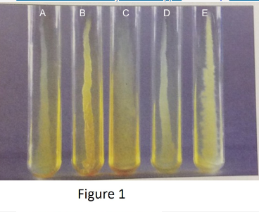 Solved Describe the growth pattern in figures 1 for A, B, C, | Chegg.com