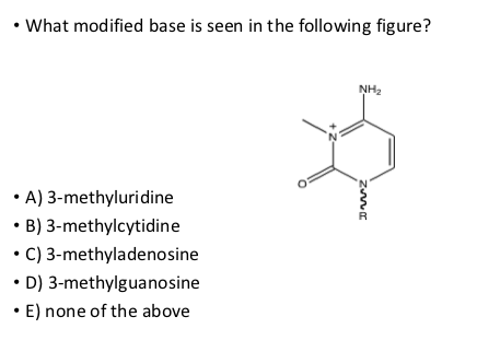 Solved What modified base is seen in the following figure? | Chegg.com