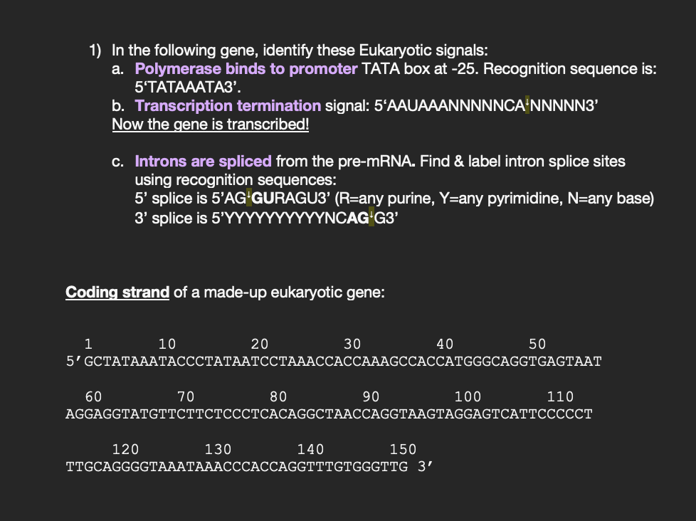 Solved 2) Translate the sequence above using the codon | Chegg.com