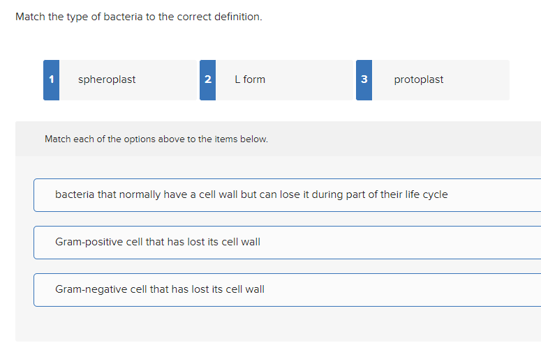 Solved Match the type of bacteria to the correct | Chegg.com