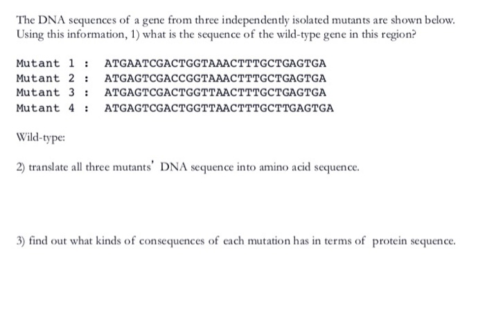 Solved The DNA sequences of a gene from three independently | Chegg.com