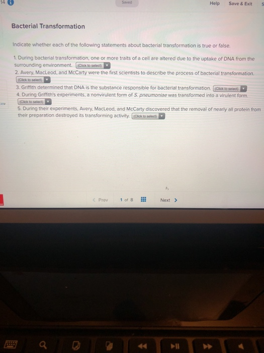 Solved 14 Saved Help Save & Exit S Bacterial Transformation | Chegg.com