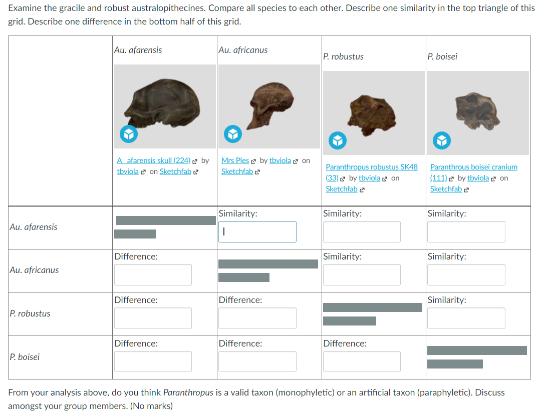 Solved Examine the gracile and robust australopithecines. | Chegg.com