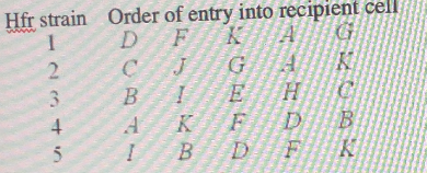 Solved Given the above data generated by an interrupted | Chegg.com