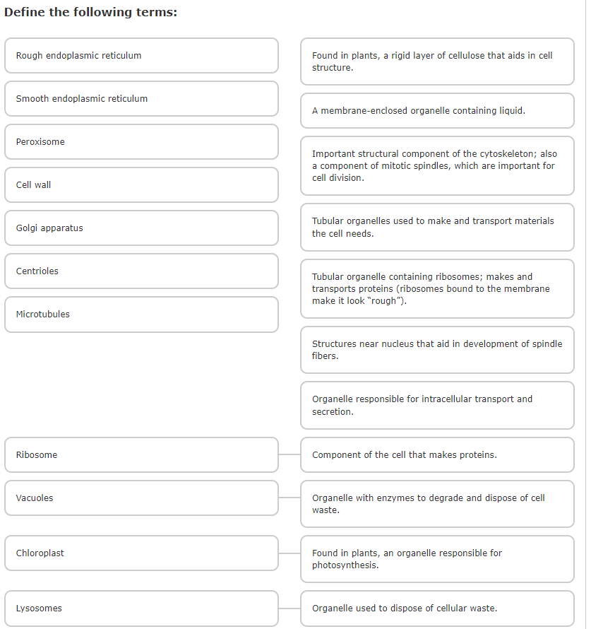Solved Define the following terms: Rough endoplasmic | Chegg.com