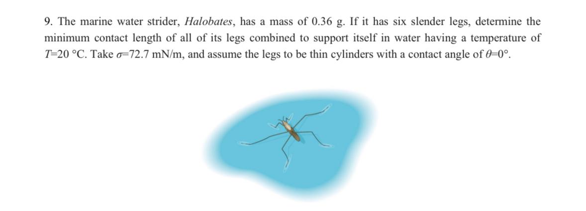 Solved 9. The marine water strider, Halobates, has a mass of | Chegg.com