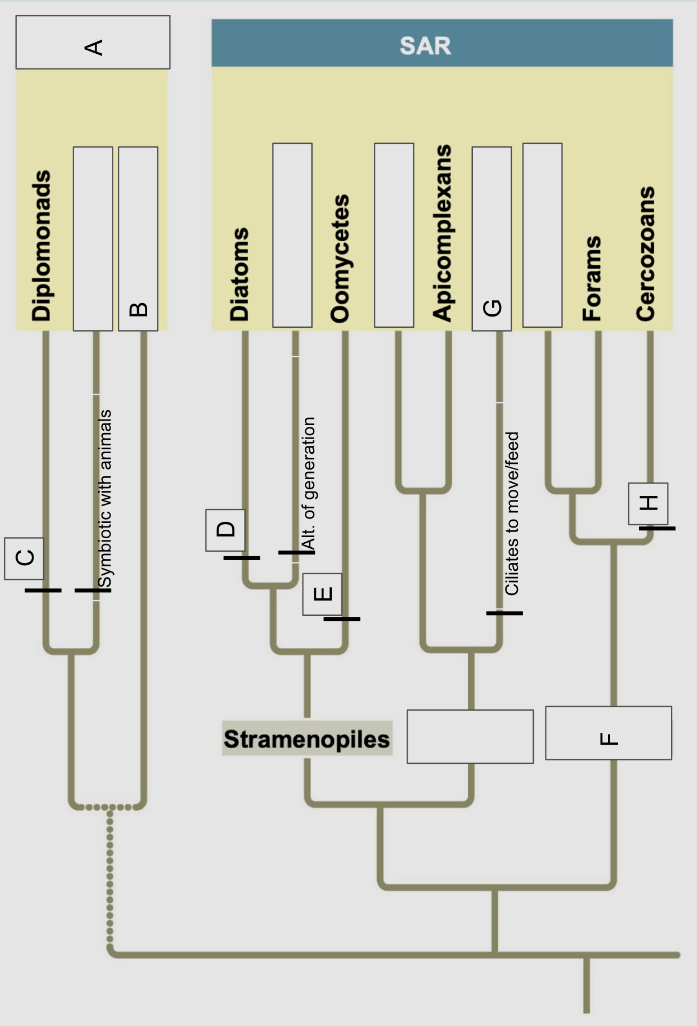 Solved Fill in the blanks that have | Chegg.com