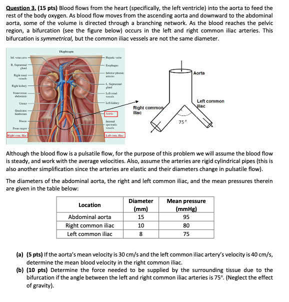 Solved Question 3. (15 pts) Blood flows from the heart | Chegg.com