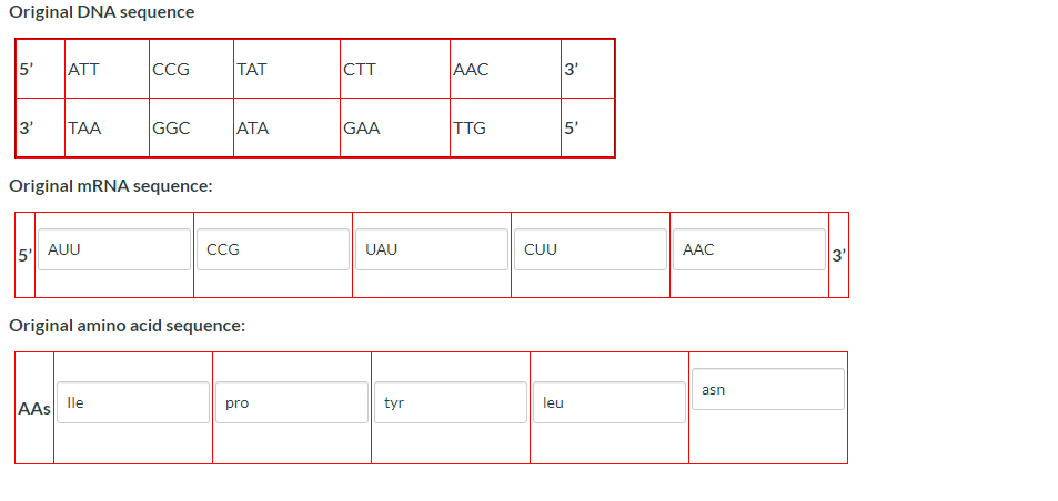 Solved Original DNA sequence 5 ATT CG TAT CIT AAC TTG 3' TAA | Chegg.com