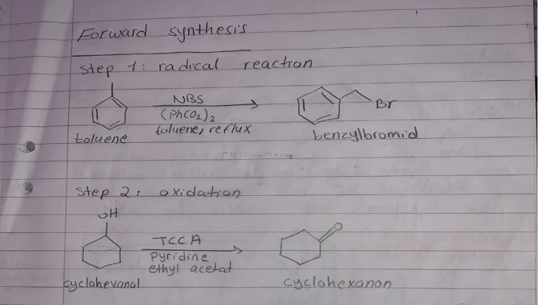 Solved Forward synthesis reaction step 1: radical Br NBS > | Chegg.com