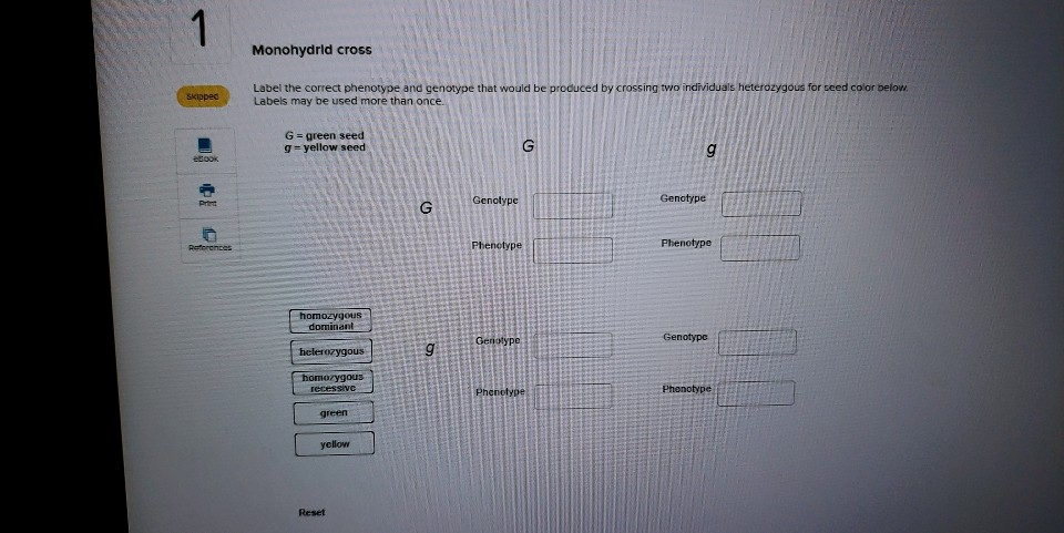 Solved Monohydrid cross Slippes Label the correct phenotype | Chegg.com Solved Monohydrid cross Slippes Label the correct phenotype | Chegg.com
