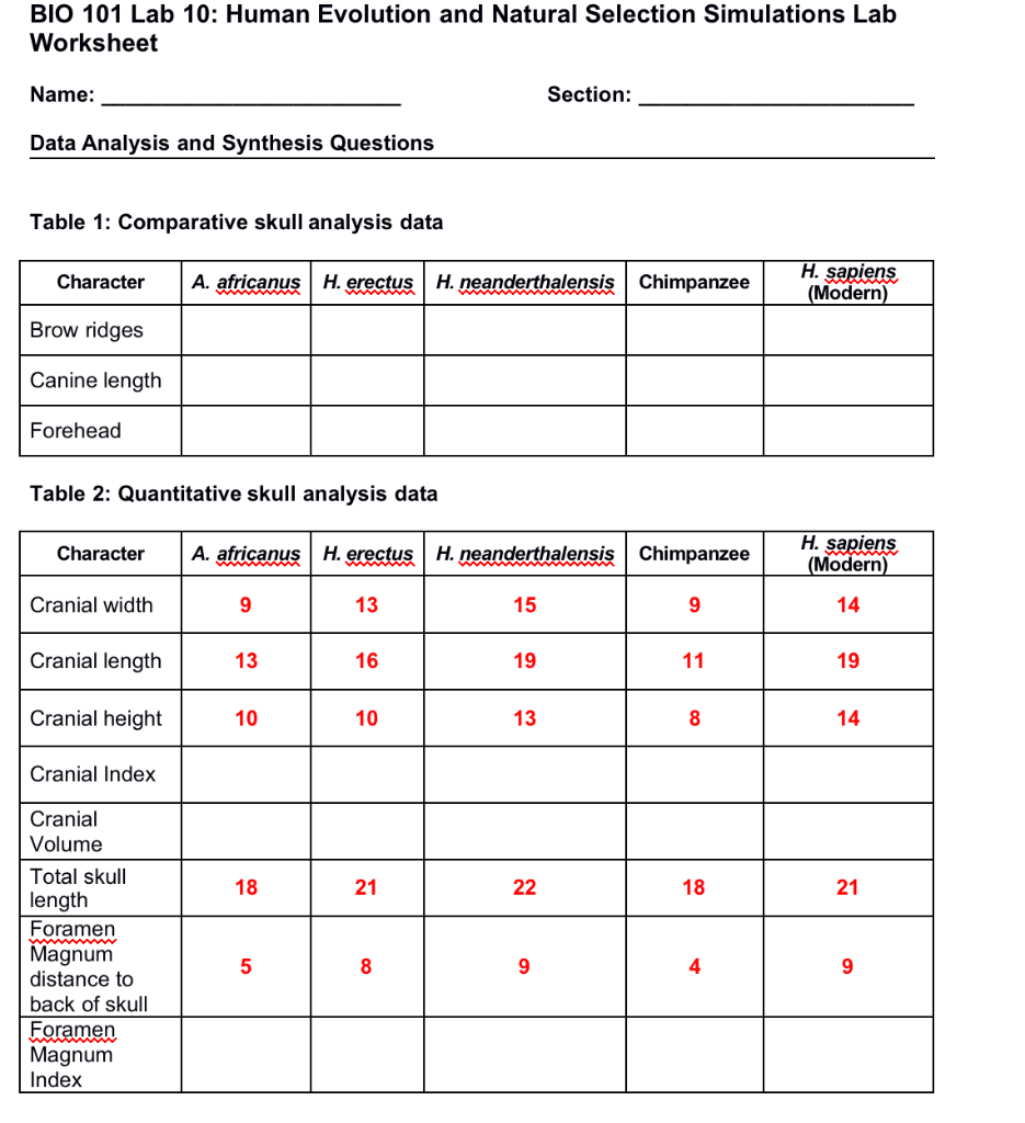 Solved BIO 101 Lab 10: Human Evolution and Natural Selection | Chegg.com
