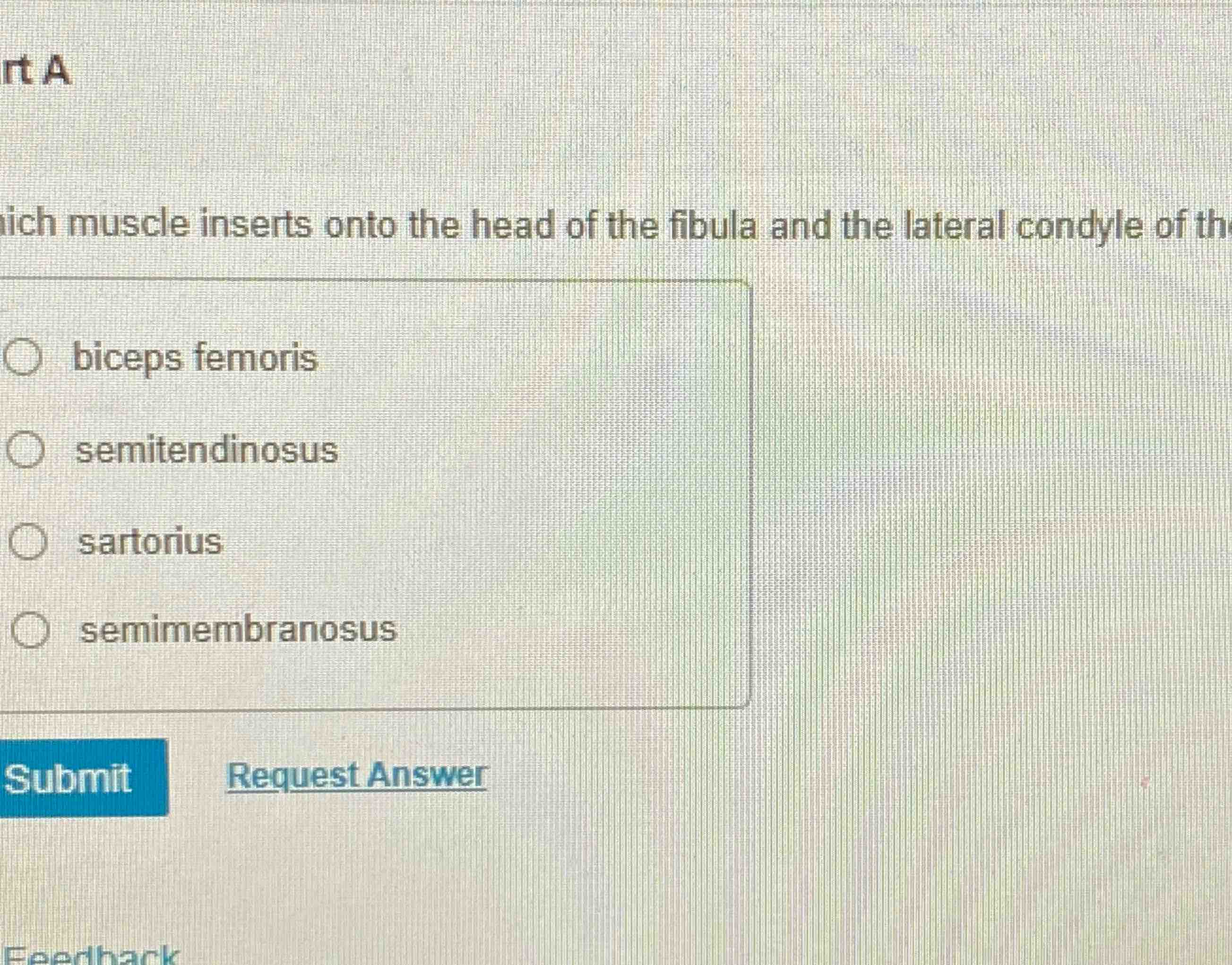 Solved it Aich muscle inserts onto the head of the fibula | Chegg.com