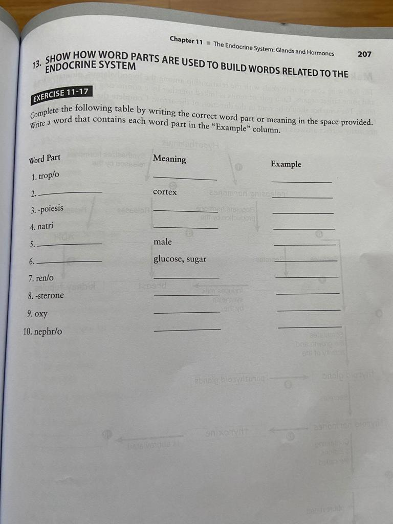 13. SHOW HOW WORD PARTS ARE USED TO BUILD WORDS | Chegg.com