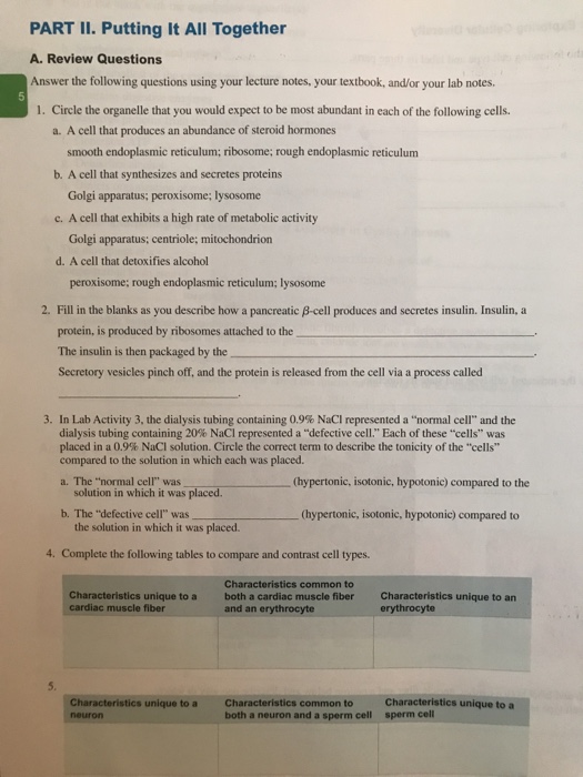Solved PART II. Putting It All Together A. Review Questions | Chegg.com
