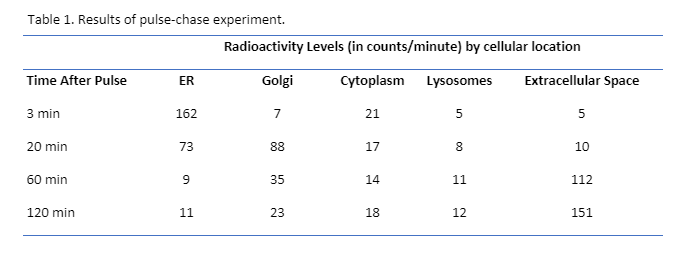 Solved Part A: The Pulse-chase experiment involves: The | Chegg.com