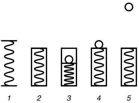 Solved Use g = 10 m/s/s. An actual spring launcher uses a | Chegg.com