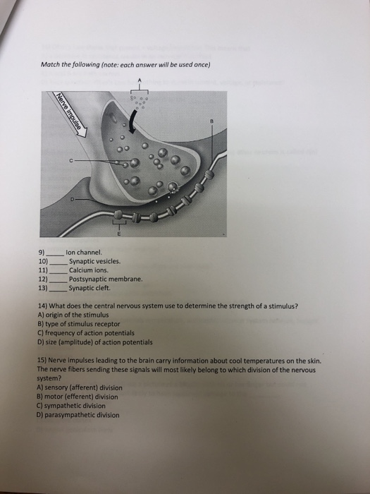 Solved Match the following (note: each answer will be used | Chegg.com