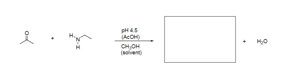 Solved pH 4.5 (AcOH) +H20 CH3OH (solvent) | Chegg.com