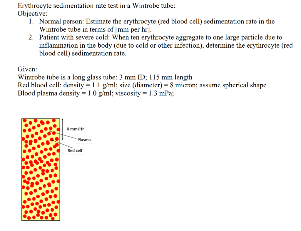 Erythrocyte sedimentation rate test in a Wintrobe | Chegg.com
