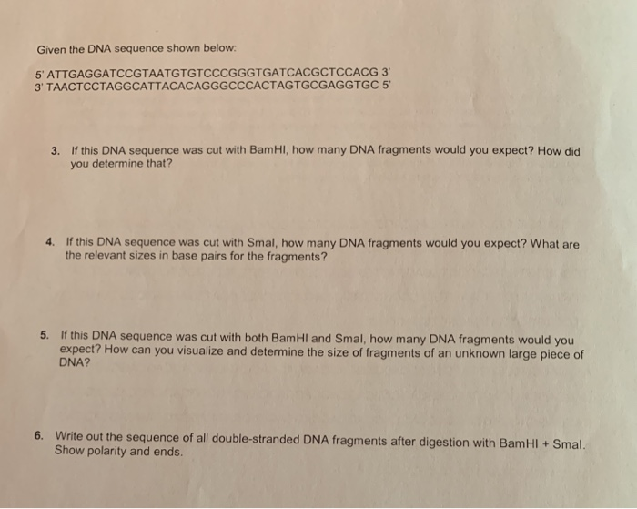 Solved Given the DNA sequence shown below: 5' | Chegg.com