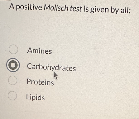 Solved A positive Molisch test is given by all: Amines | Chegg.com