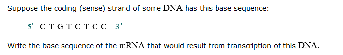 Solved Suppose the coding (sense) ﻿strand of some DNA has | Chegg.com