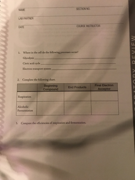 Solved NAME SECTION NO LAB PARTNER DATE COURSE INSTRUCTOR | Chegg.com